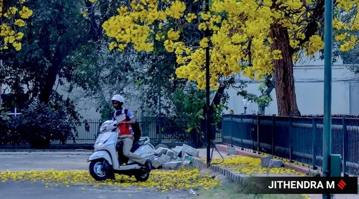 Bengaluru: Cubbon park to flaunt new look from November | Bangalore ...