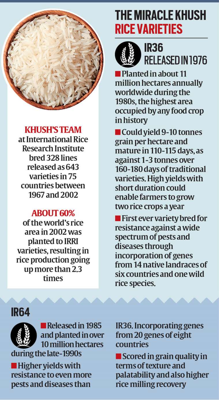 Meet the blockbuster ‘rice man’ who fed the world | India News - The ...