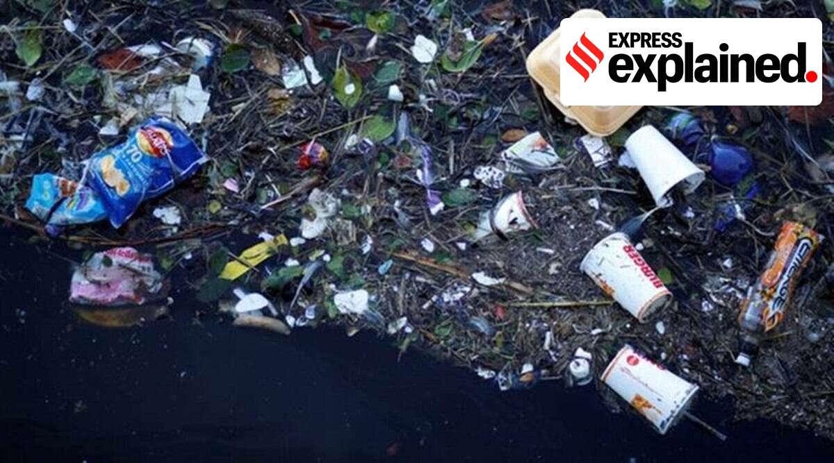 New research: The tiniest specks of plastic can enter the human food ...