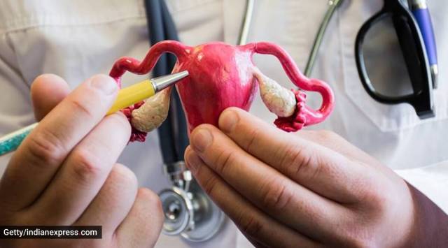 Can a woman have two uteri? Can she bear children from both? | Health ...