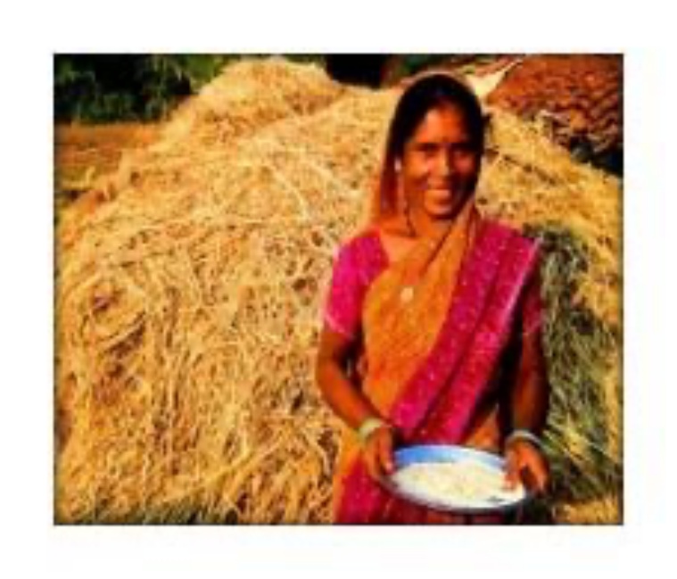 How rural women are helping sustain the economy of millets | Food-wine ...