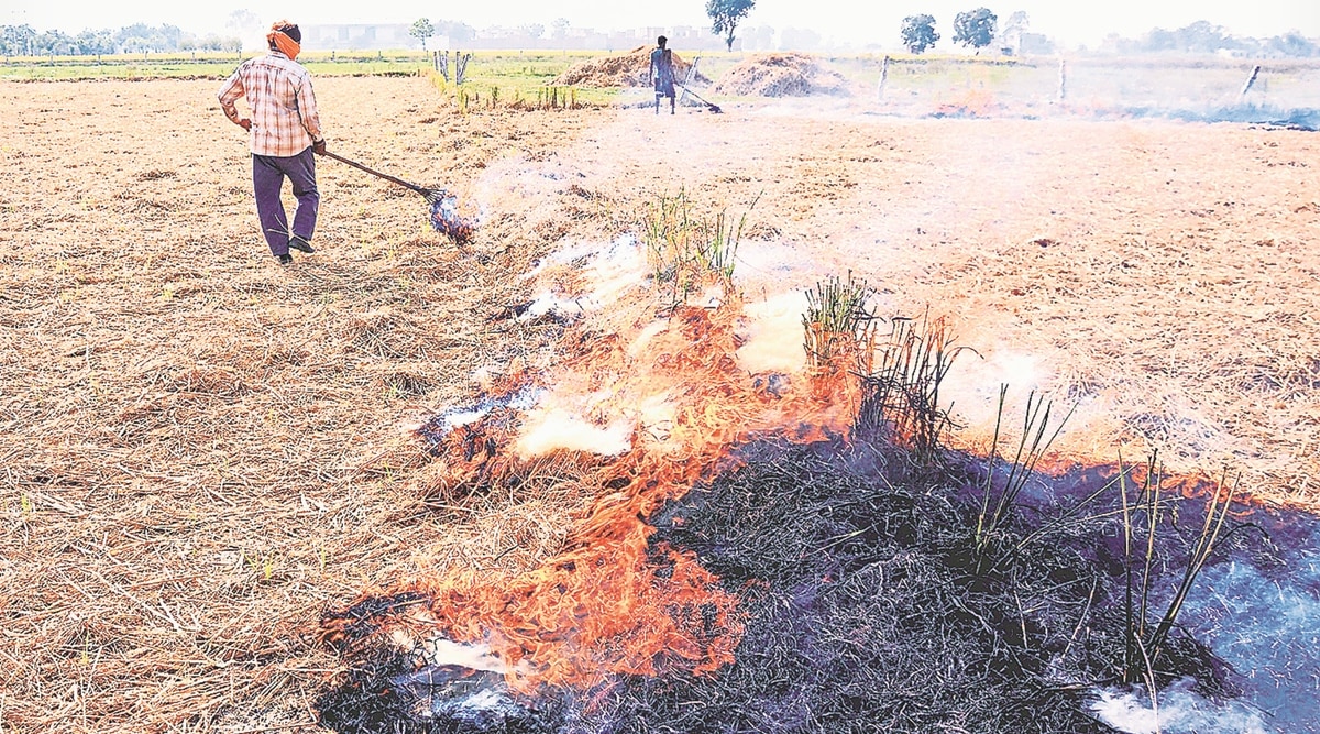 Punjab sees 1,238 farm fires, fines imposed in 190 cases | Jalandhar ... Punjab sees 1,238 farm fires, fines imposed in 190 cases | Jalandhar ...