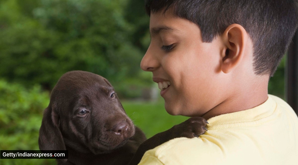 Here’s how pets can enable a child’s overall development | Life-style ...