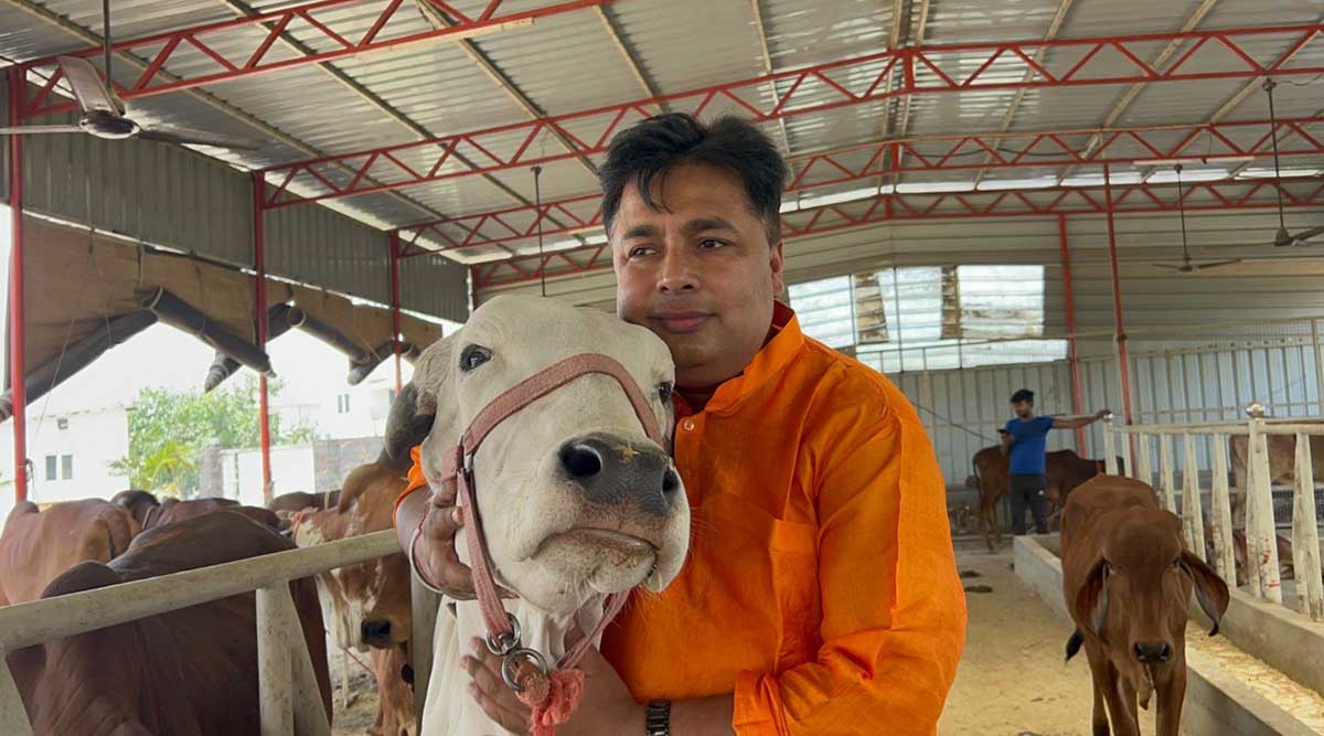 Founder of SwadeshiVIP, Narendra Kumar Is Spearheading ‘Cow Cuddling ...