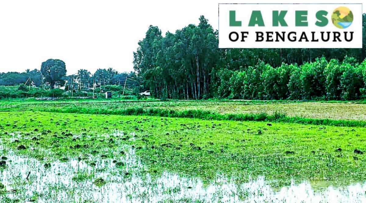 Lakes of Bengaluru: The recent showers filled this lake to its brim and ...