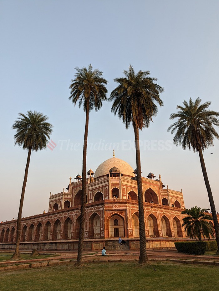 Google Pixel 7 Pro review, camera samples, price, best features