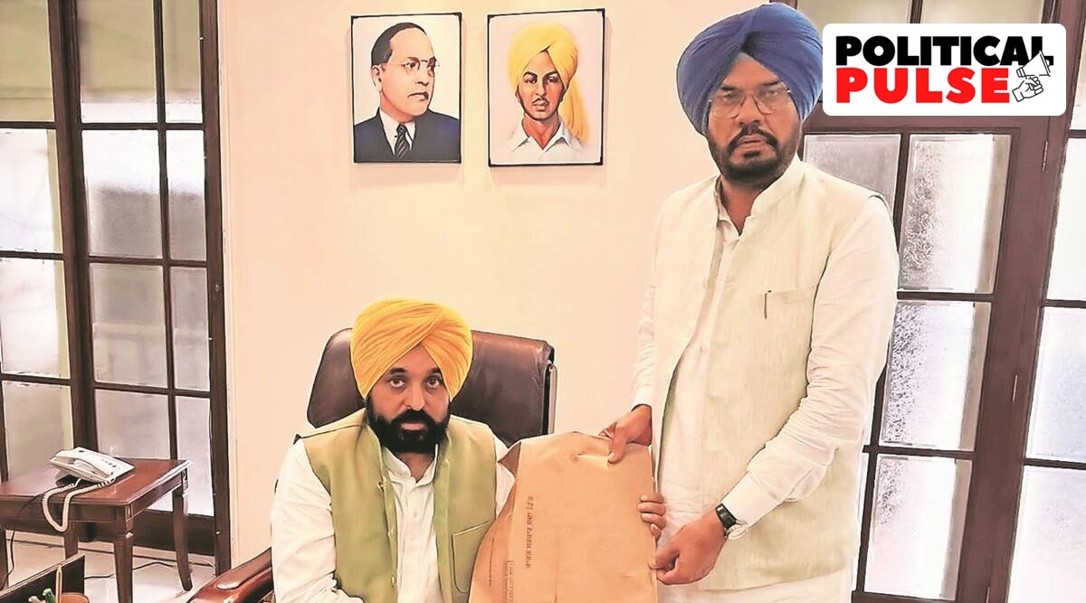 Punjab’s AAP government sought resumption of trade ties with Pakistan ...