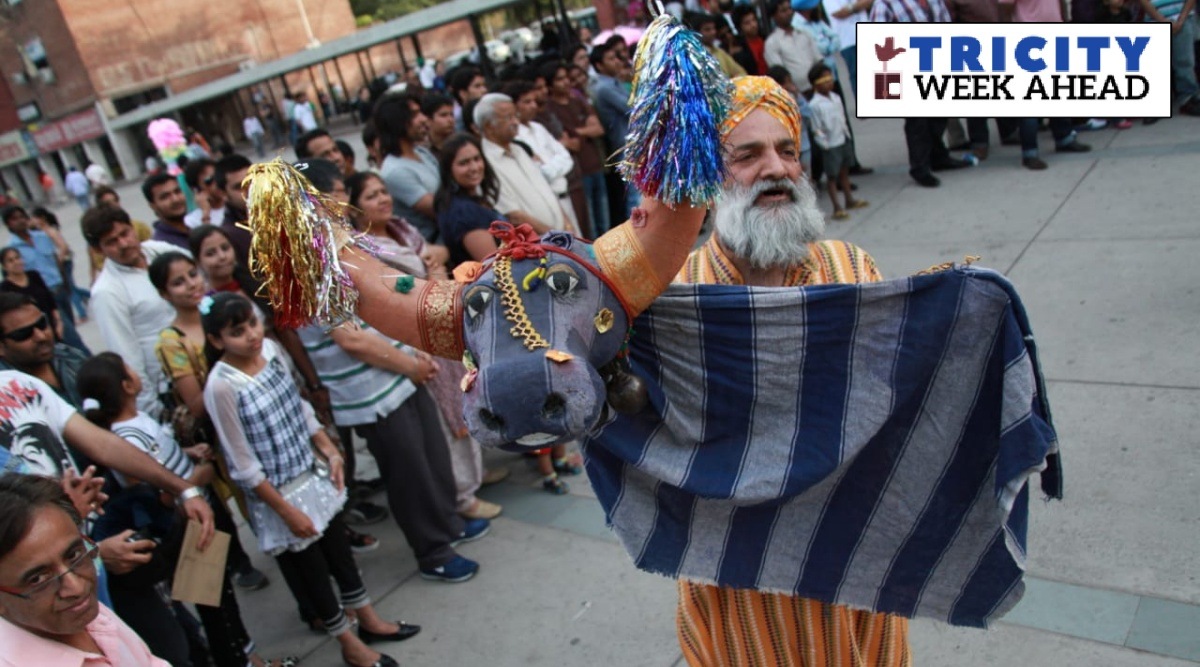 What’s On Chandigarh: A festival to celebrate works of G S Chani ...