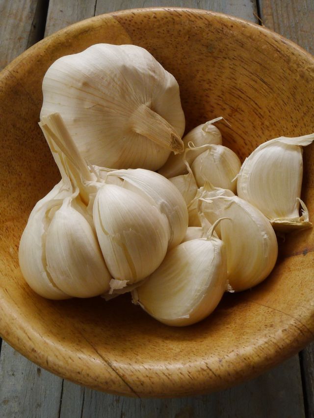 garlic.jpg