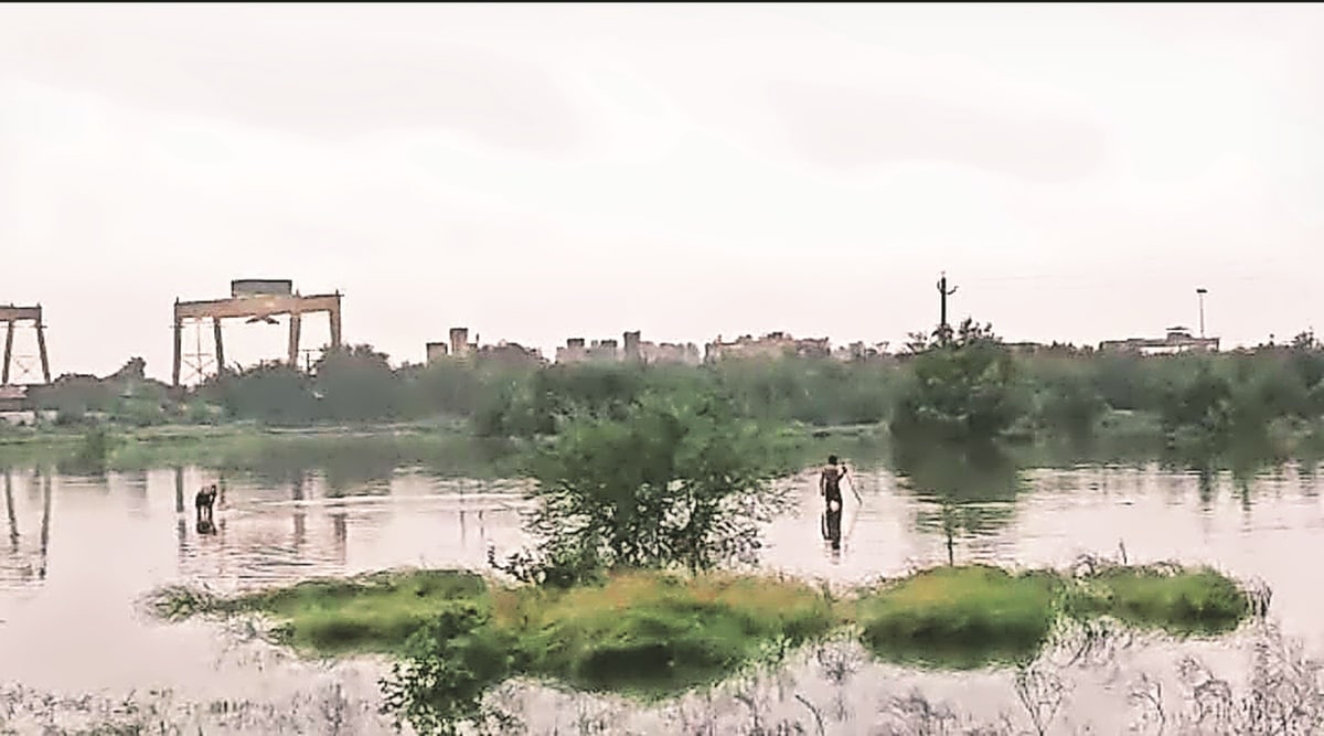 Taking bath in pond in Gurgaon, 6 kids drown | Delhi News - The Indian ...