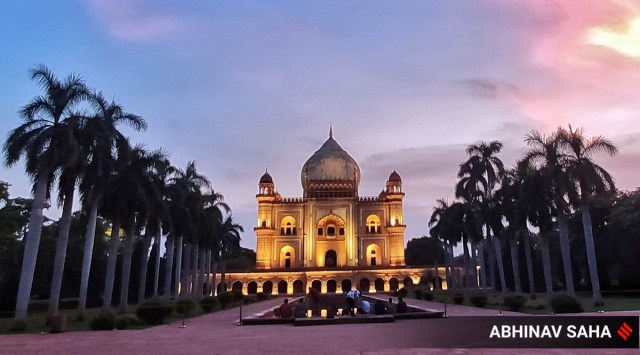 What explains Delhi’s love affair with palm trees? | Delhi News - The ...