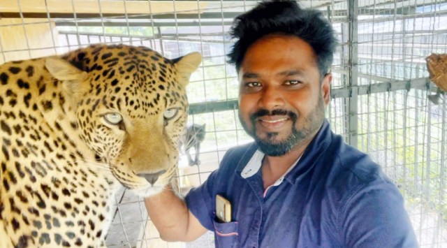 Andhra doctor appeals to India to rescue his pet jaguar and panther ...