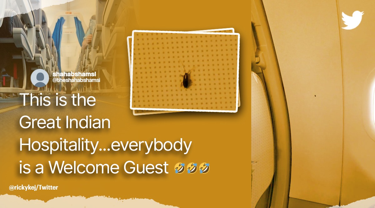 Grammy winner Ricky Kej posts clip of cockroach on IndiGo flight ...