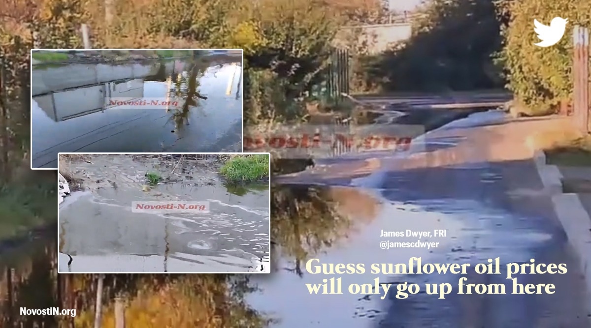 Watch: Russian drones hit sunflower oil tanks in Ukraine, roads flooded ...