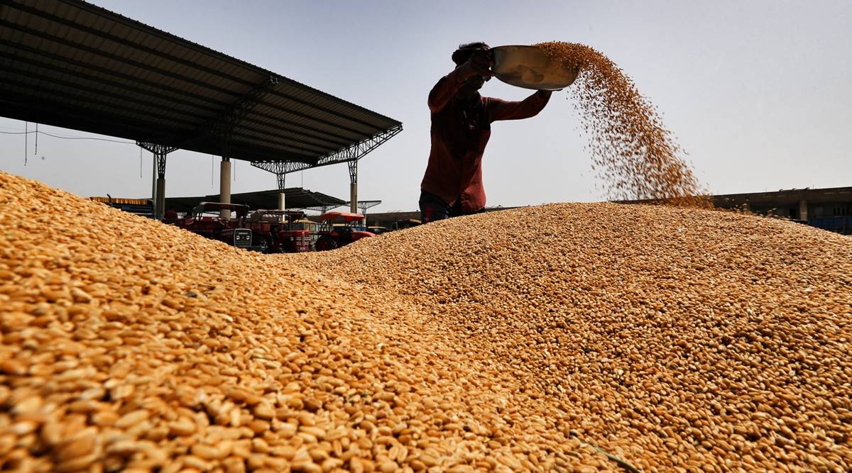 Grain market braces for price leap as Black Sea corridor halted | World ...