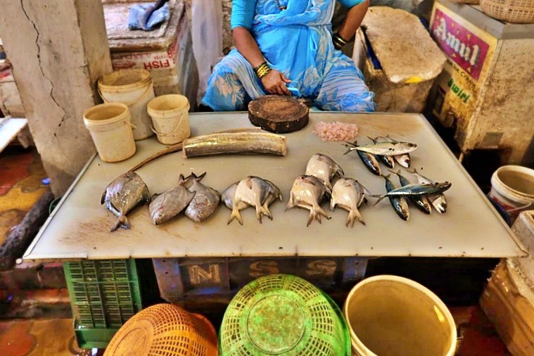 ‘We have nothing but fishing’: Why Kolis of Mumbai are building man ...