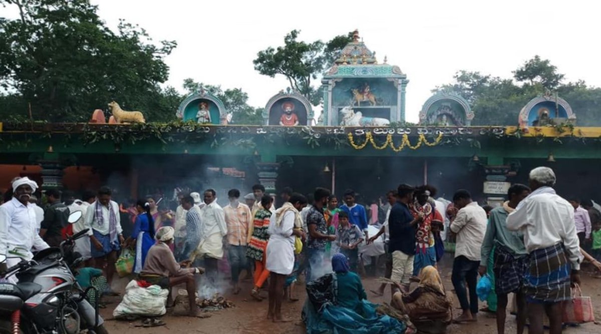 Karnataka forest department bans bullock carts, livestock from temple ...