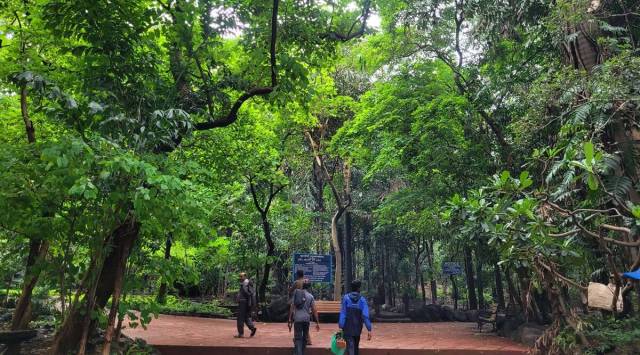 Govt converted over 1,800 acre forest land for private projects in ...