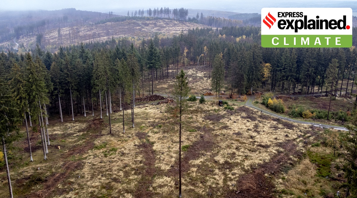 New climate change research amid COP27