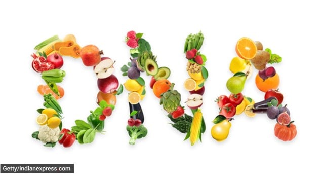 Nutrigenomics: Find out what it is, and how it impacts your diet ...