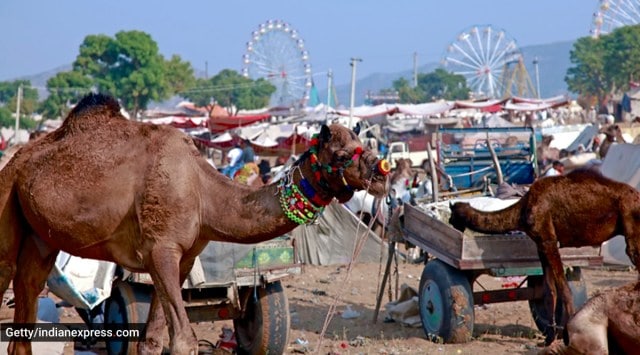 Rajasthan’s eight-day Pushkar Fair begins today; know more about it ...
