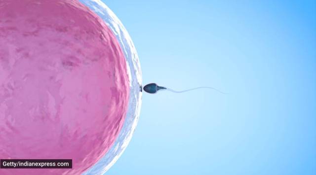 Are falling sperm counts pointing to infertility among the young? What ...