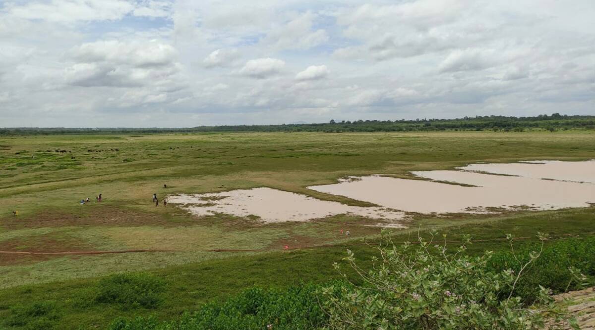 Declare Hesaraghatta grasslands as conservation reserve, Karnataka ...