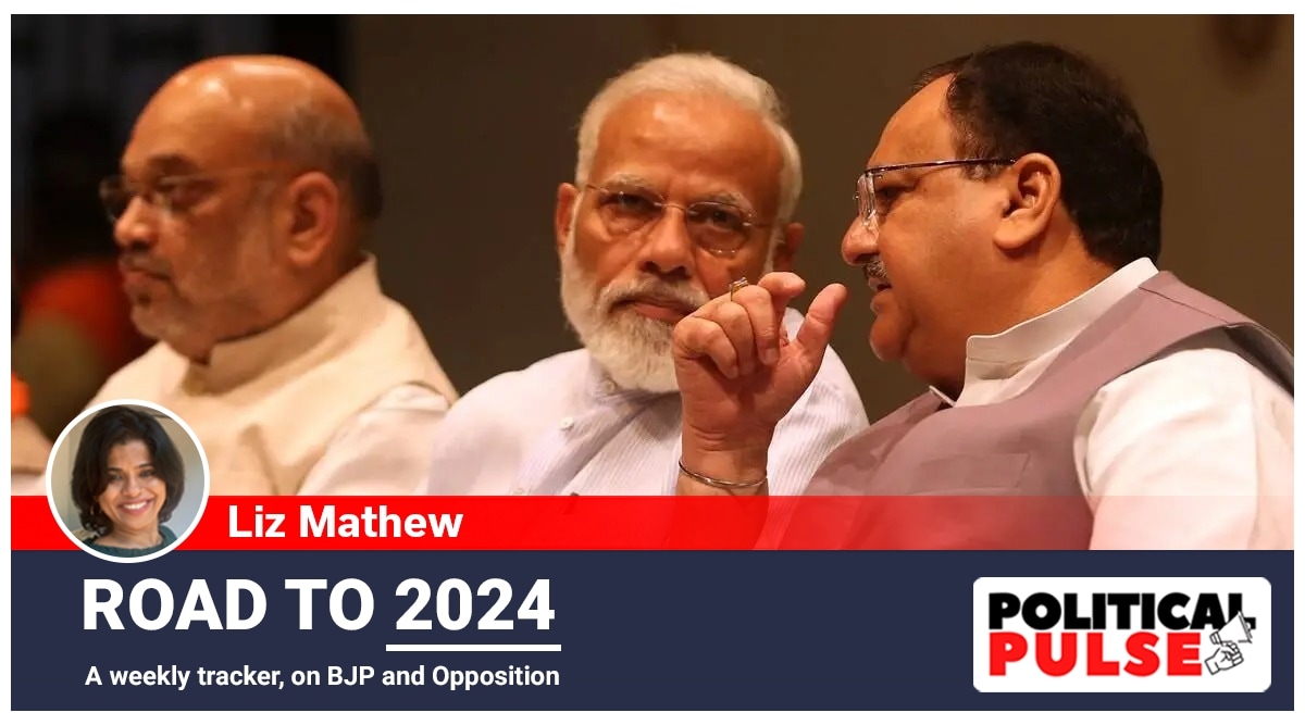 Modi and Shah: Why BJP is increasingly reliant on the Big Two ...