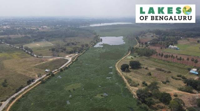 Karnataka floats tenders to restore Chandapura, Muthanallur lakes ...
