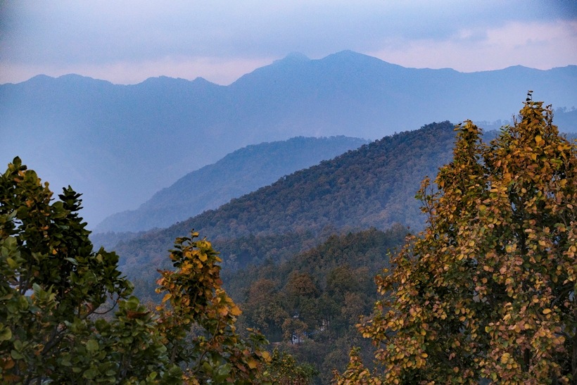 As its trees come back, Nepal notches a victory against deforestation ...