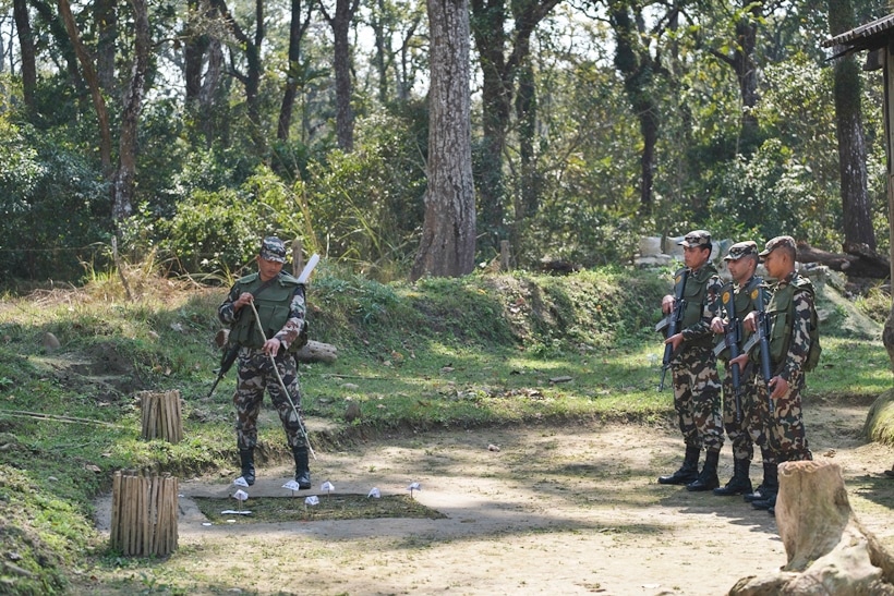 As its trees come back, Nepal notches a victory against deforestation ...