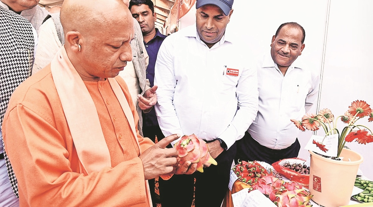 Go for cow-based farming, tech to improve yield: Yogi to farmers ...