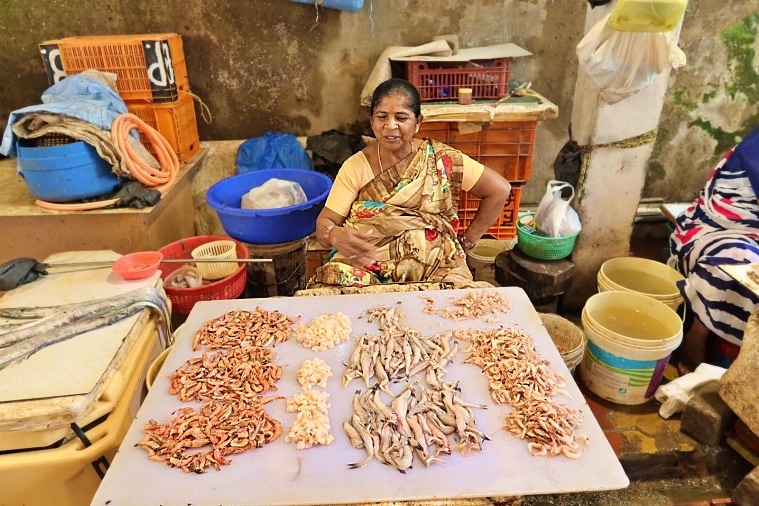 ‘We have nothing but fishing’: Why Kolis of Mumbai are building man ...
