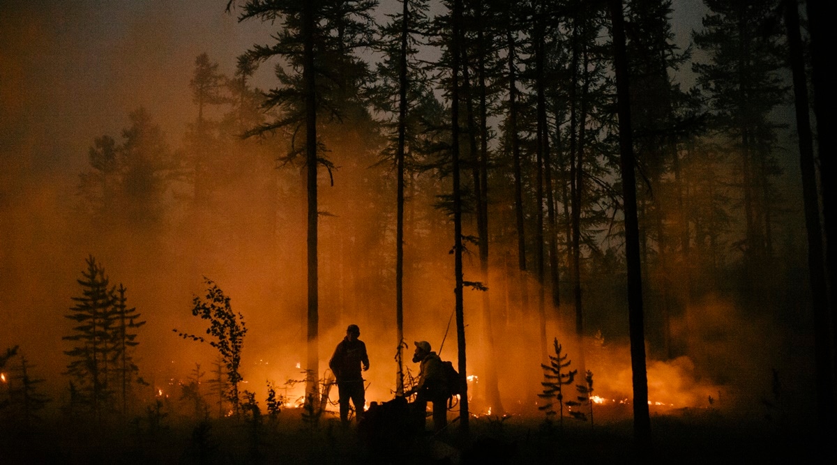 Latest News on Forest Fire: Get Forest Fire News Updates along with ...