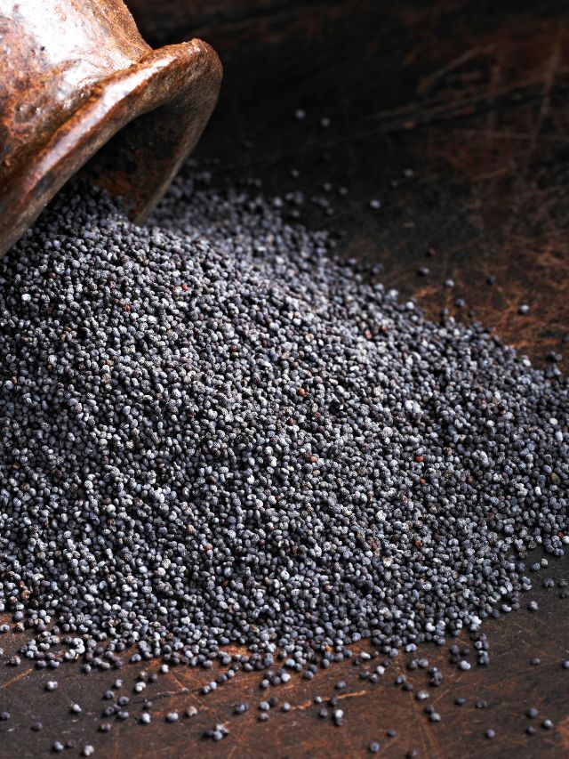 The many benefits of poppy seeds | The Indian Express