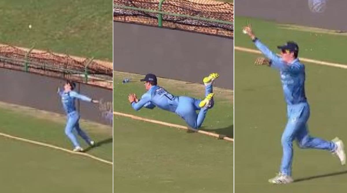 Watch: Dewald Brevis takes a jaw-dropping catch after smashing 162 off ...
