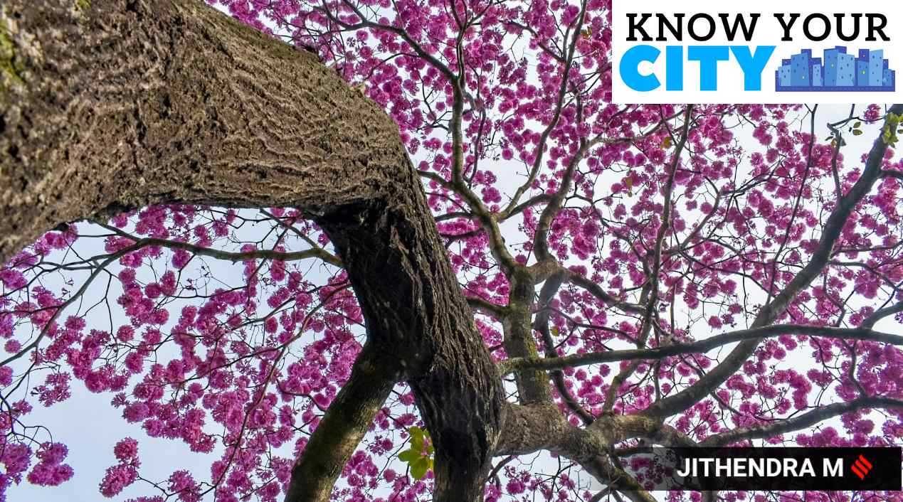 Know Your City: Bengaluru’s rendezvous with the colour pink | Bangalore ...