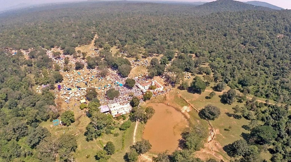 Karnataka forest department to impose restrictions for temple fair ...