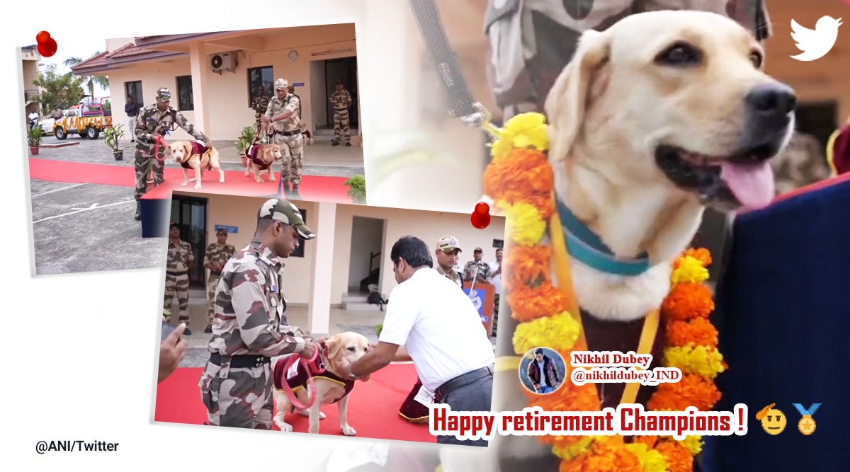 CISF dogs retire after 10 years, watch their retirement ceremony here ...