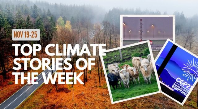 Top climate stories of this week: What we learned from COP27, Saudi ...