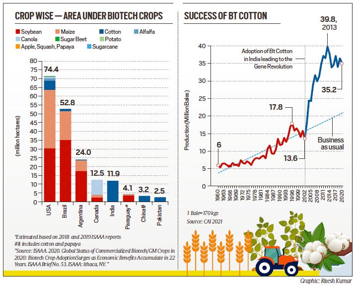 Ashok Gulati and Ritika Juneja write: Why India cannot afford to ignore ...