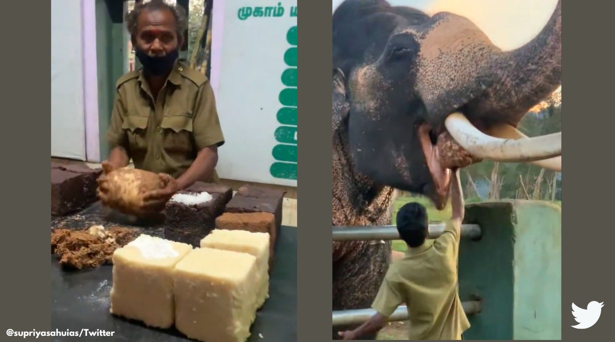 Watch: This is how breakfast is made for elephants at Tamil Nadu ...