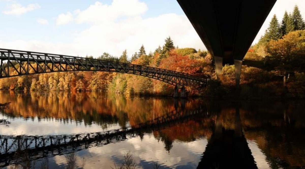 In pictures: Vivid and breathtaking fall foliage across the world ...