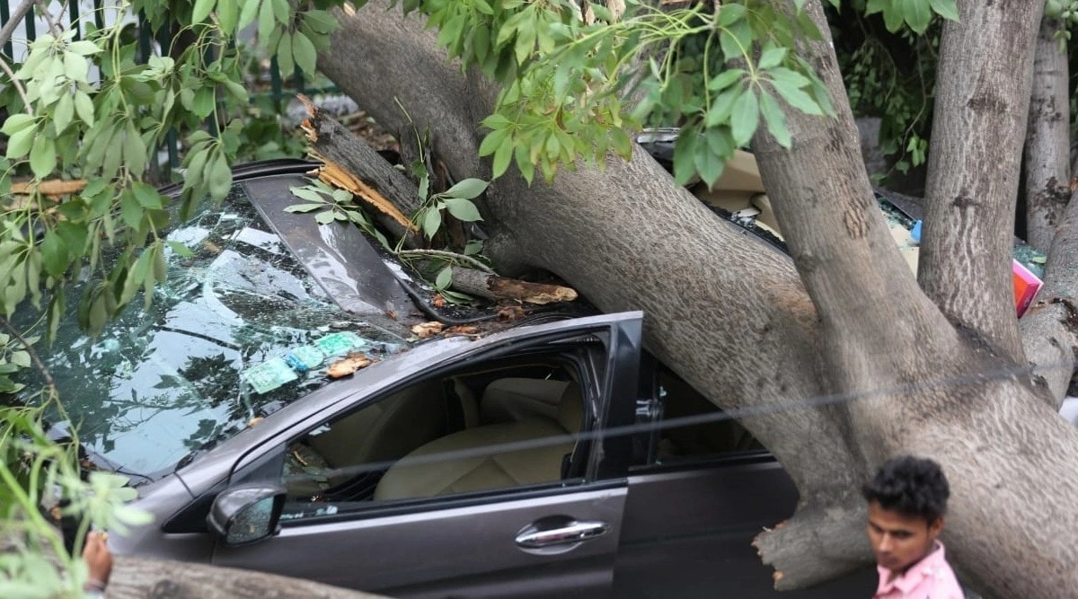 Thane resident dies after tree branch crashes down on car, case ...