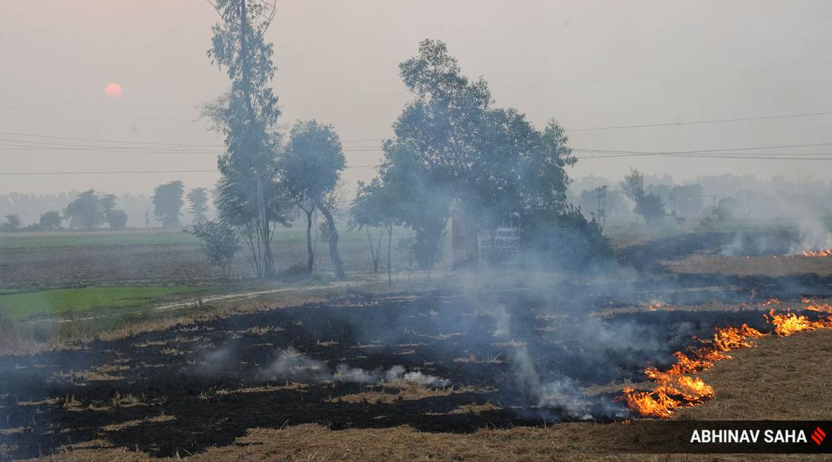 Haryana says Nasa report shows steep decline in farm fire incidents in ...