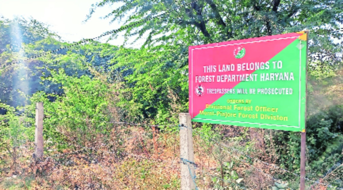 After 11 years, Haryana gets 13 acres in return from HSVP | Chandigarh ...