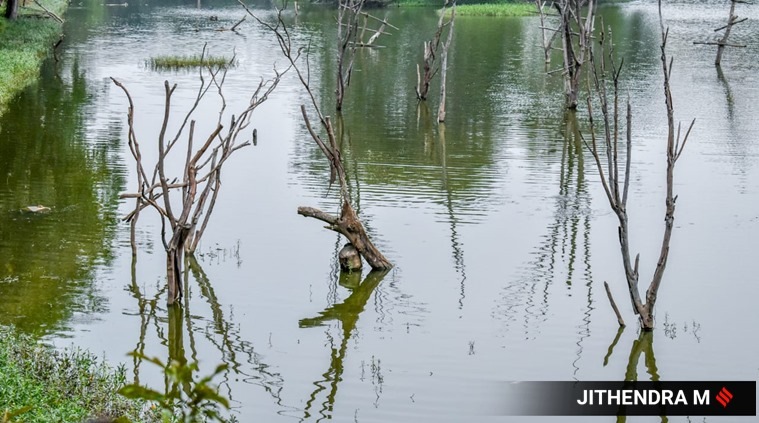 Lakes of Bengaluru: Maintained by local residents, Puttenahalli is a ...