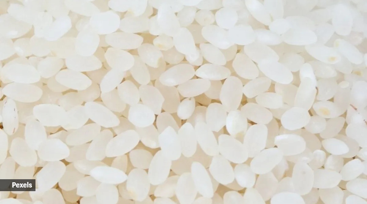 After her vacation with Arjun Kapoor, this is just what Malaika Arora ...