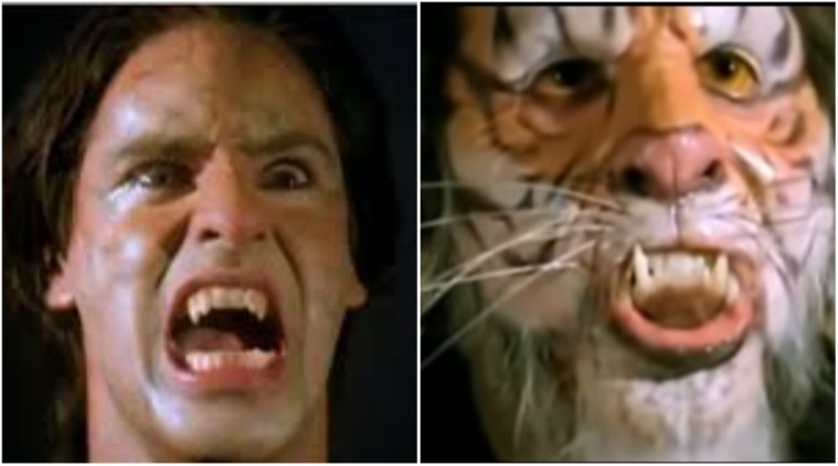 Bhediya: Ahead of Varun Dhawan film, exploring the lore and lure of ...