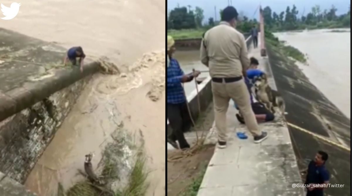 Video of man rescuing stranded dog goes viral, online users shower him ...